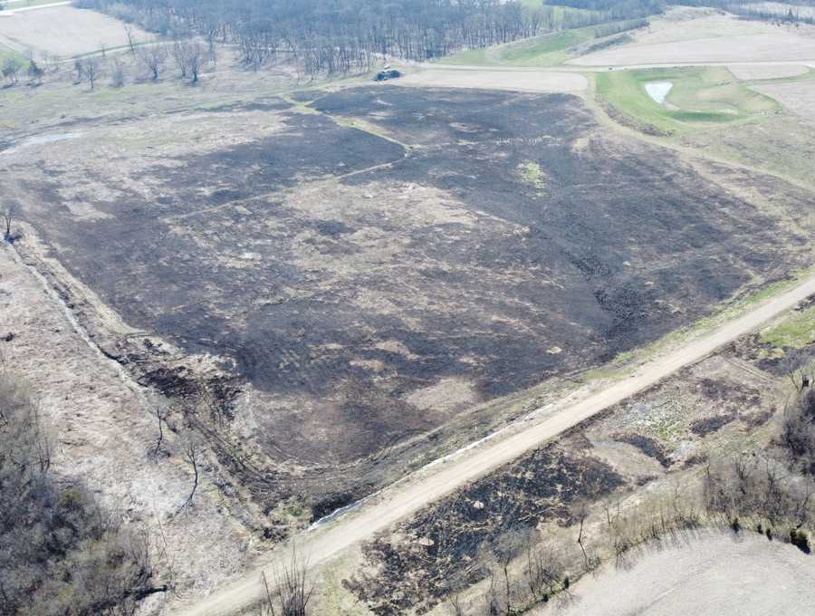 How Prescribed Burns Revitalize Natural Areas | News Article